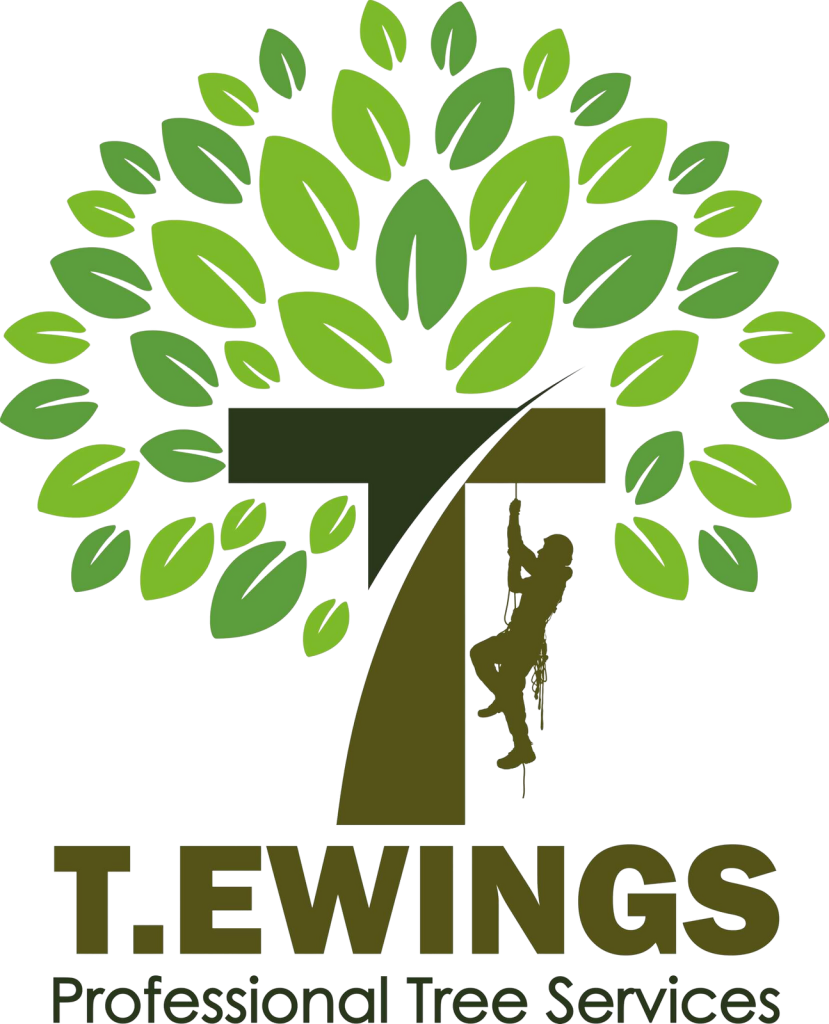 Tree Surgeons | Saltash | Plymouth | Cornwall | Devon | T.Ewings ...